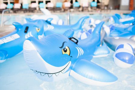 How to Throw a {Shark Themed} Pool Party! - Jenny Cookies