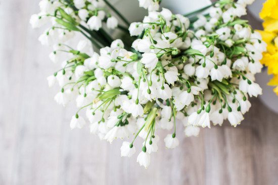 Spring Flower Arranging Ladies Lunch - Jenny Cookies