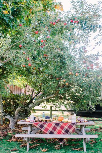 How to Host a Ladies Lunch at the Pumpkin Patch - Jenny Cookies