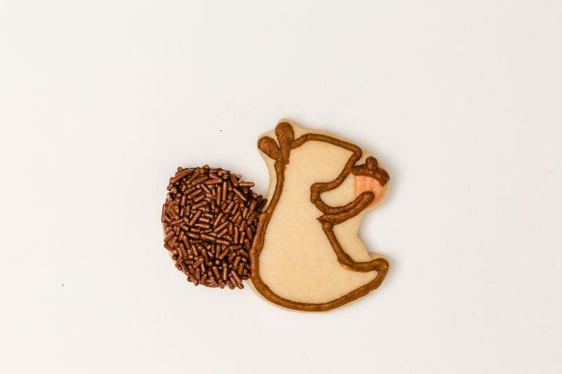 How to Decorate Woodland Animal Sugar Cookies - Jenny Cookies